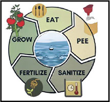 Recycling as Fertilizer – The Green Center